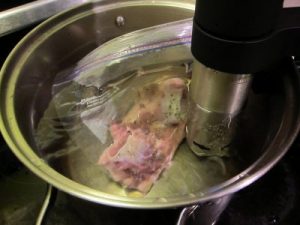 Anova Culinary Precision Cooker Review - Sous Vide Wizard